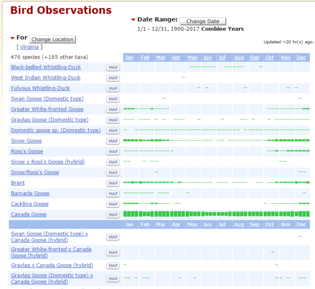 eBird_Report_BarChart | The Test Garden